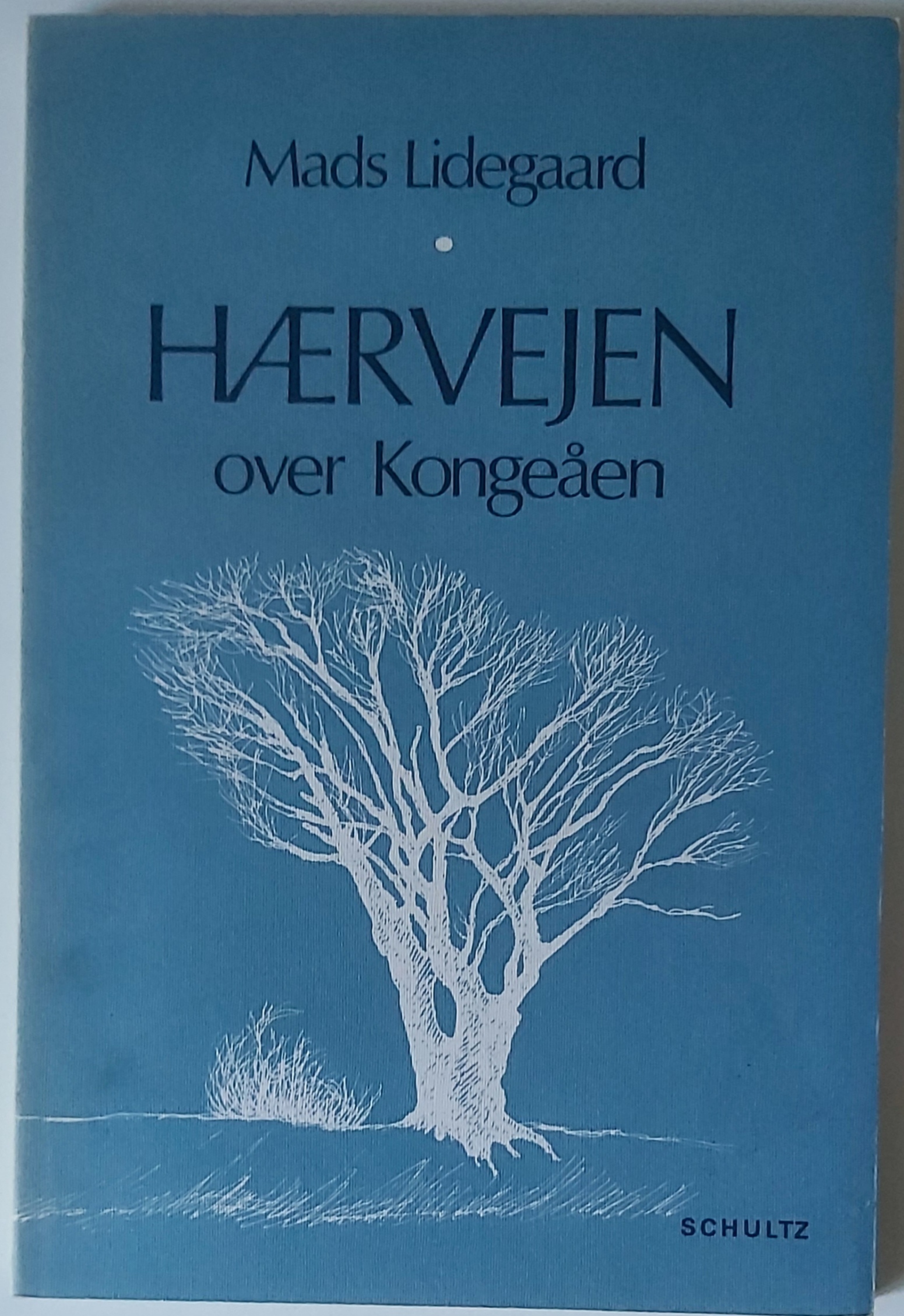 Hærvejen over Kongeåen af Mads Lidegaard - Den Gode Bog